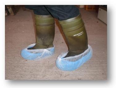 salmonella.org.uk - Sampling - Boot Swabs